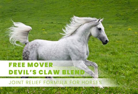 Free Mover (Devil's Claw Blend) – Brookby Herbs